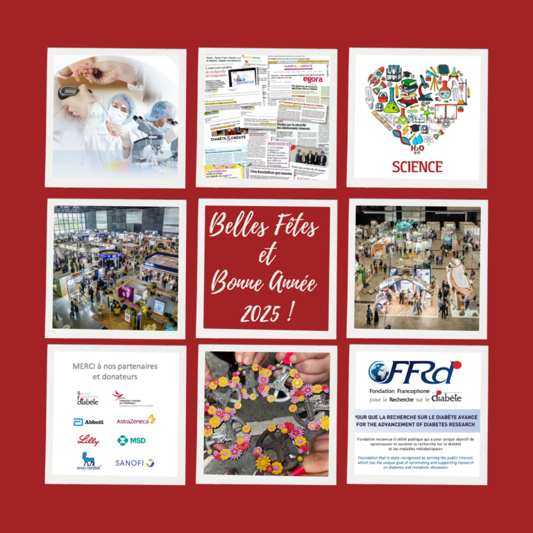 Belles fêtes et bonne année 2025 ! - Fondation Francophone pour la ...